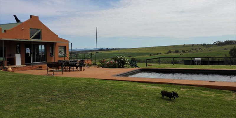 Stay – Lekker Free state