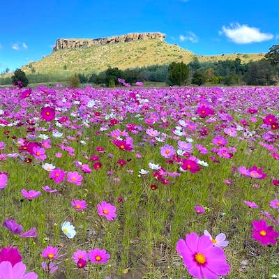 Sandstone Estates – Lekker Free state